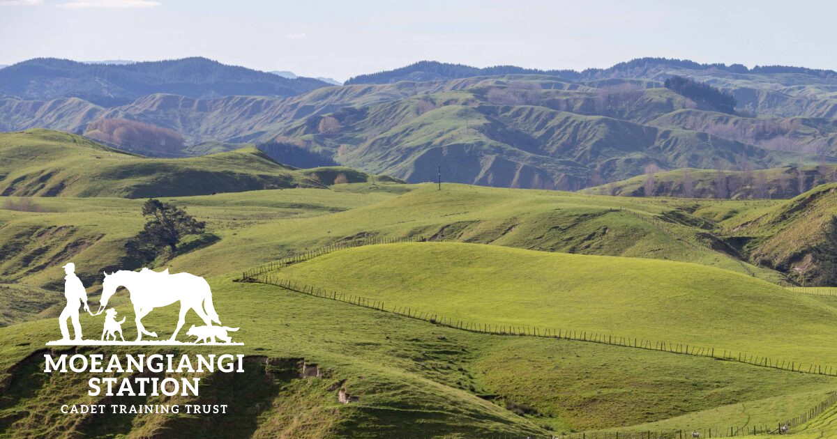 Home - Moeangiangi Station Cadet Training Trust